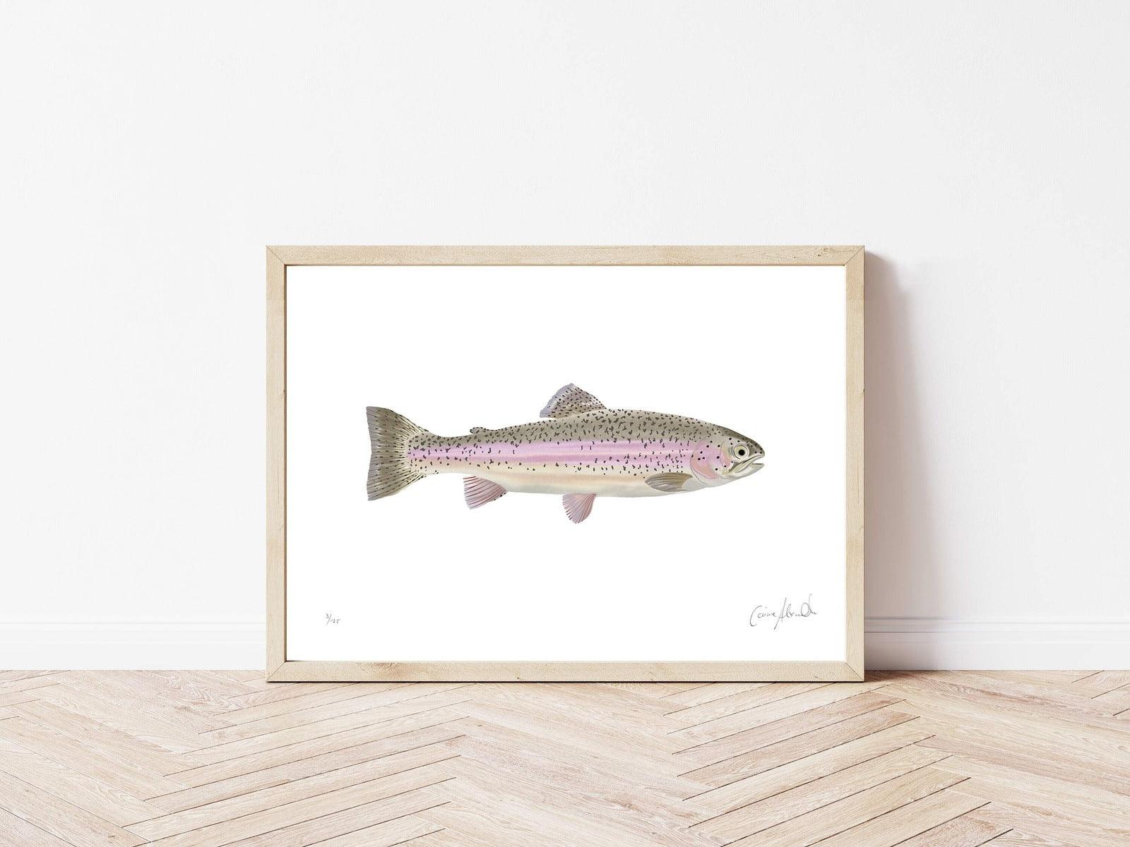 Rainbow Trout - Limited Edition Print – Corinne Alexander