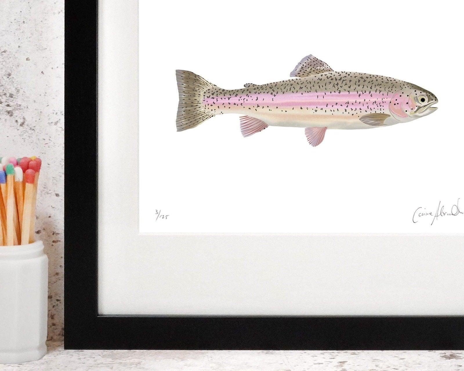 Rainbow Trout - Limited Edition Print – Corinne Alexander